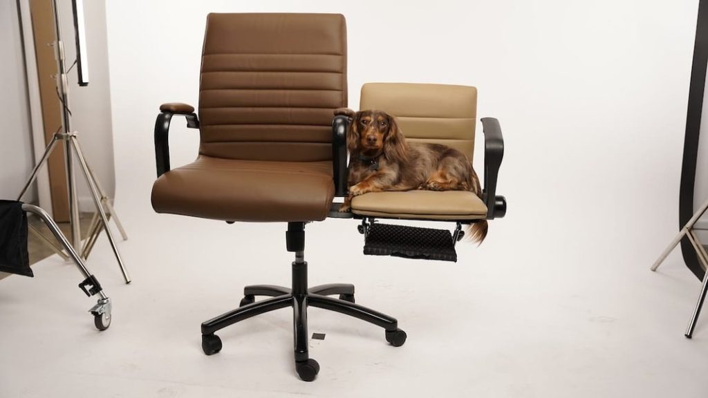 10 Best Office Chair For Dog Pets in 2026 - BestOfficeIdeas